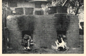 About - Sandu Pharmaceuticals