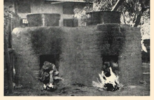 About - Sandu Pharmaceuticals