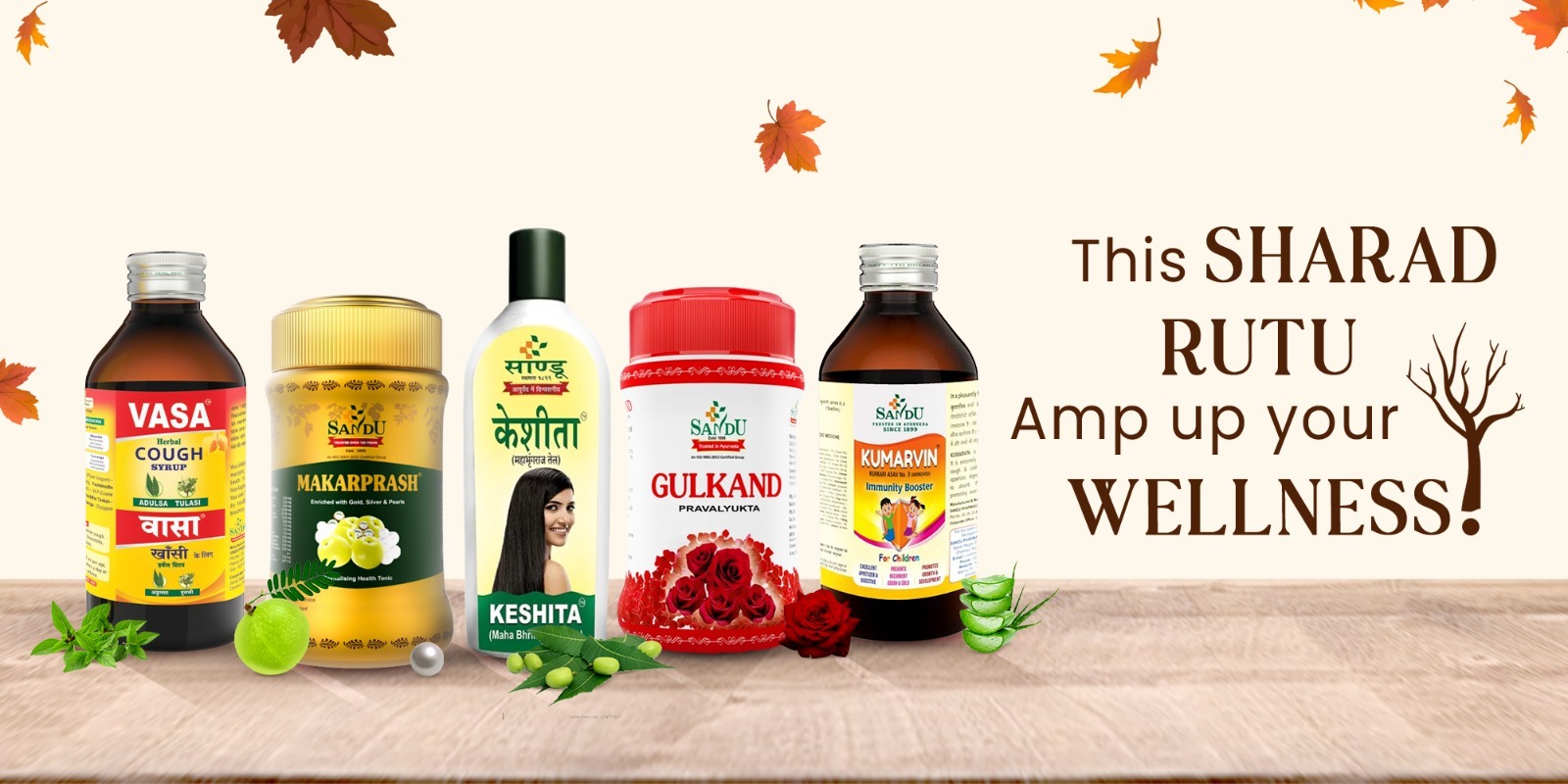 Sandu Pharmaceuticals - Buy Ayurvedic Medicine Online in India